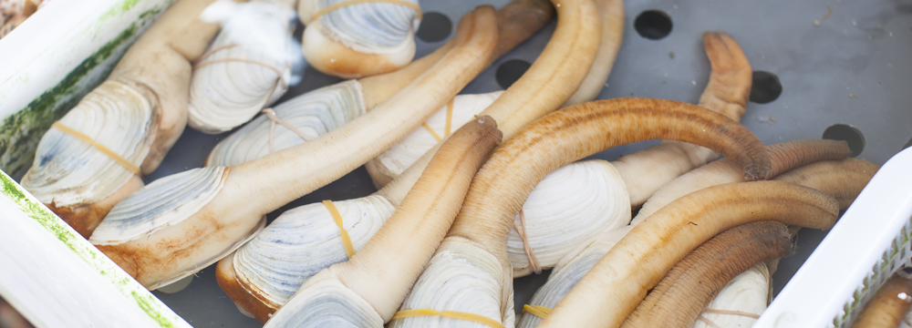 7 Foods That Sound Like One Thing but are Another